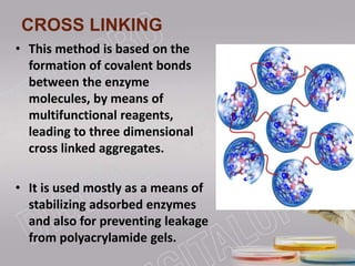 Enzyme immobilization | PPT | Free Download