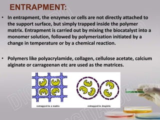 Enzyme immobilization | PPTX