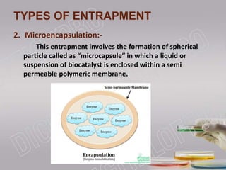 Enzyme immobilization | PPTX