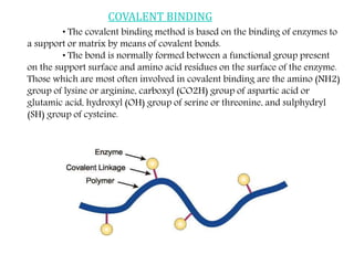 Enzyme immobilization | PPTX