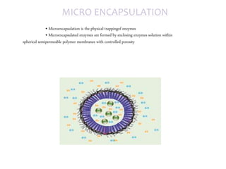 Enzyme immobilization | PPTX