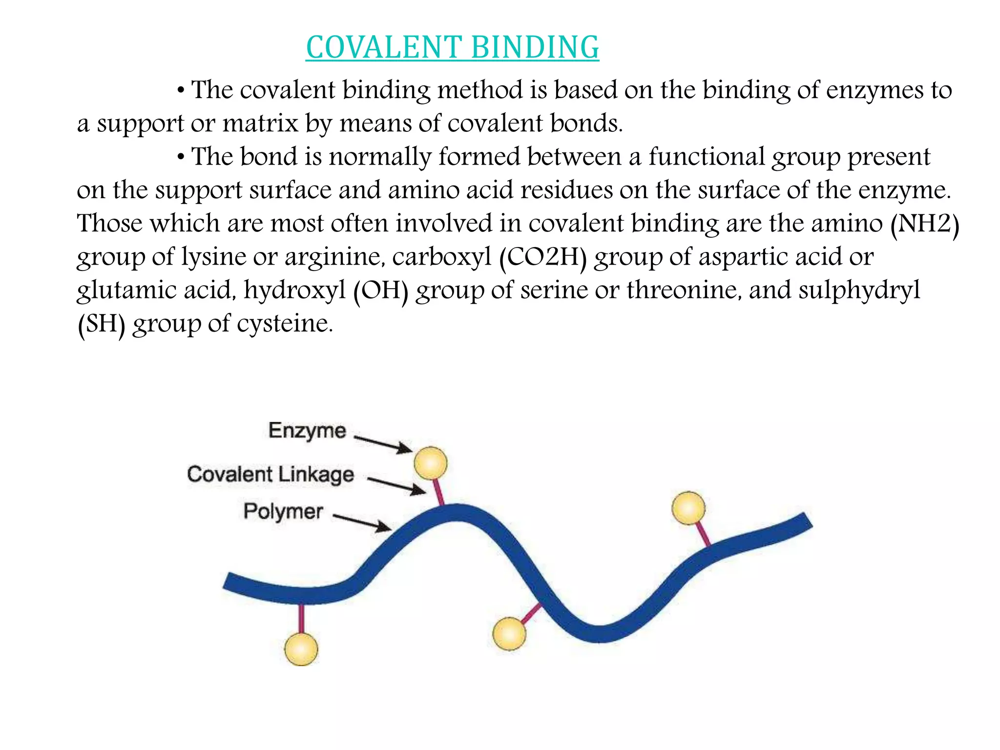 Enzyme immobilization | PPTX