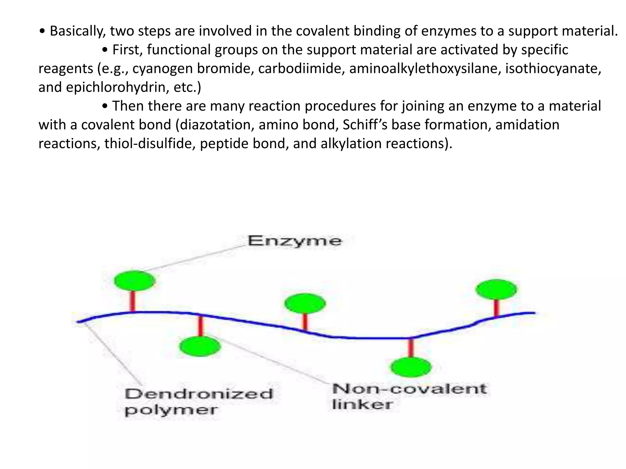 Enzyme immobilization | PPTX