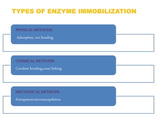 Enzyme immobilization | PPTX