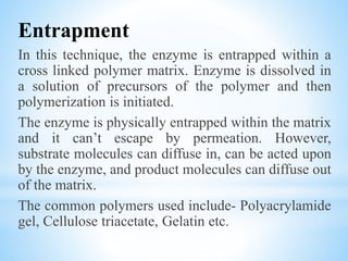 Enzyme immobilization | PPTX