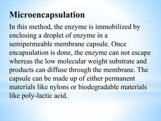 Enzyme immobilization | PPTX