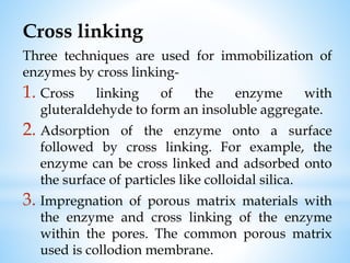 Enzyme immobilization | PPTX