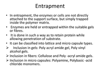Enzyme immobilization | PPTX | Biotech and Biomedical Industry | Industries