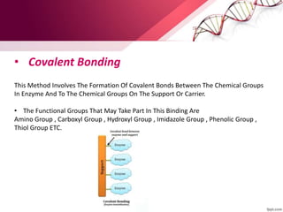 Enzyme immobilization , Advantages And Disadvantages With Method Of ...