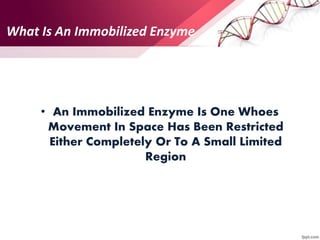 Enzyme immobilization , Advantages And Disadvantages With Method Of ...