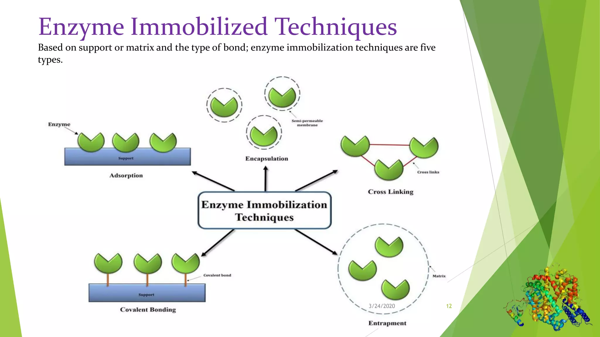 Enzyme immobilization ,Methods ,advantages and disadvantages and applications | PPTX