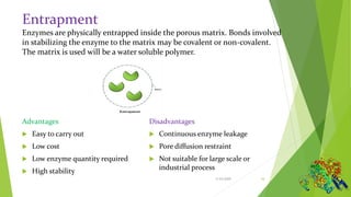 Enzyme immobilization ,Methods ,advantages and disadvantages and ...