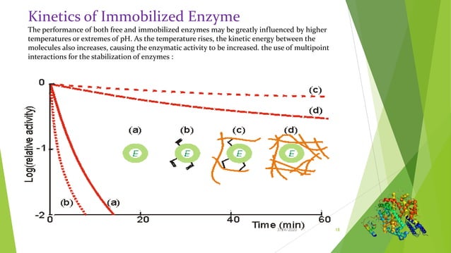 Enzyme immobilization ,Methods ,advantages and disadvantages and ...