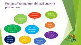 Enzyme immobilization ,Methods ,advantages and disadvantages and ...
