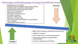 Enzyme immobilization ,Methods ,advantages and disadvantages and ...