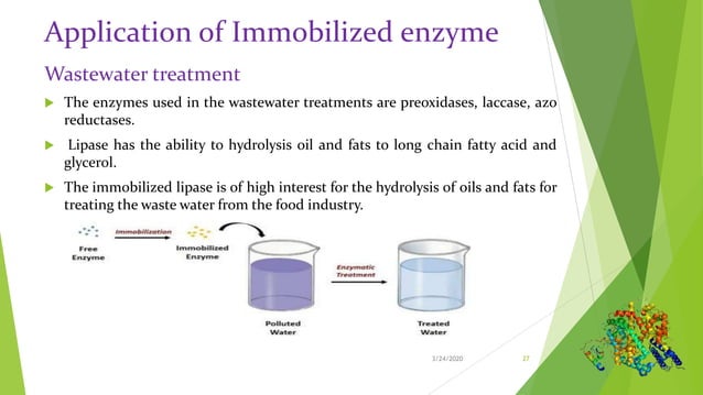 Enzyme immobilization ,Methods ,advantages and disadvantages and applications | PPTX
