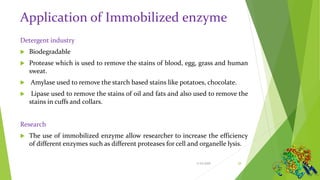Enzyme immobilization ,Methods ,advantages and disadvantages and ...