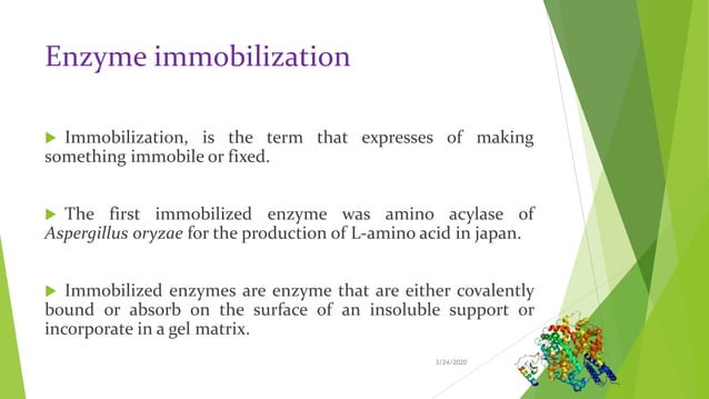 Enzyme immobilization ,Methods ,advantages and disadvantages and ...