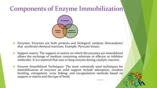 Enzyme immobilization ,Methods ,advantages and disadvantages and ...