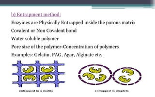 Enzyme immobilization | PPTX