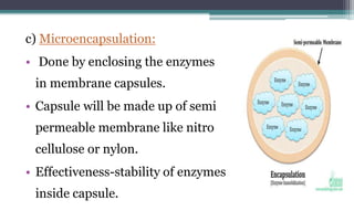 Enzyme immobilization | PPTX