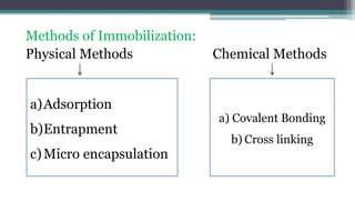 Enzyme immobilization | PPTX