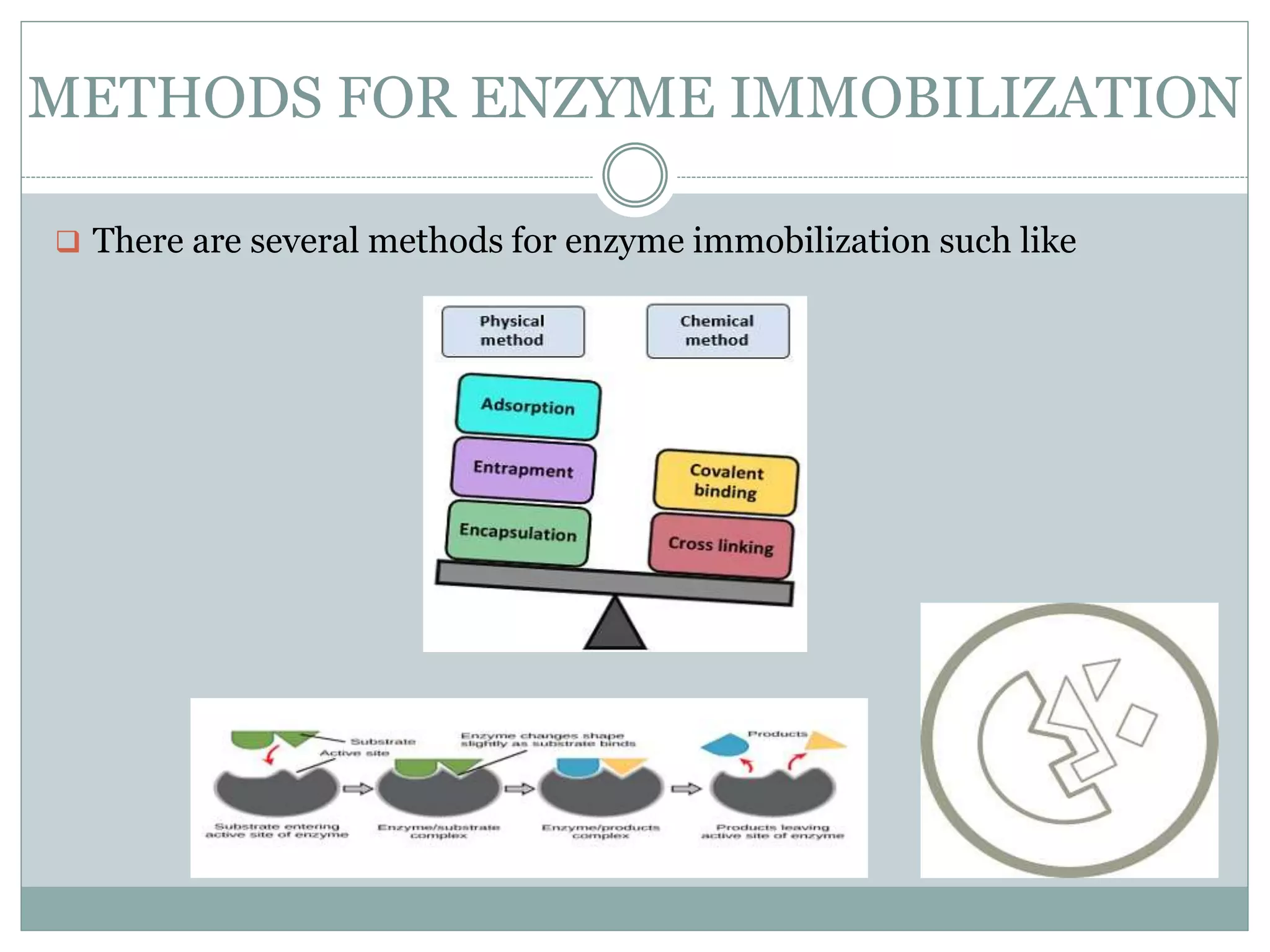 Immobilized Enzymes, Immobilization Techniques, Examples - Biochemical ...