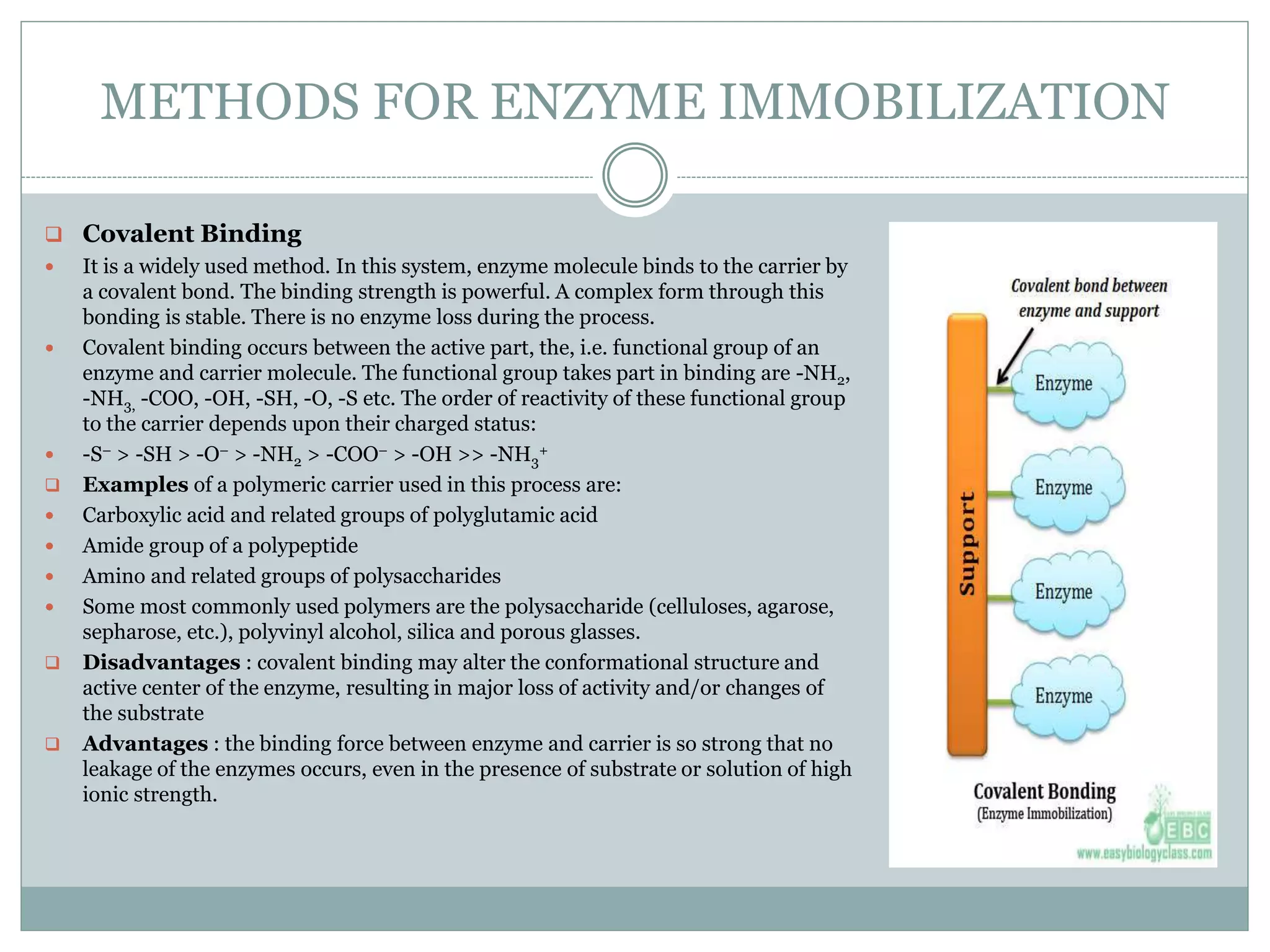 Immobilized Enzymes, Immobilization Techniques, Examples - Biochemical | PPTX