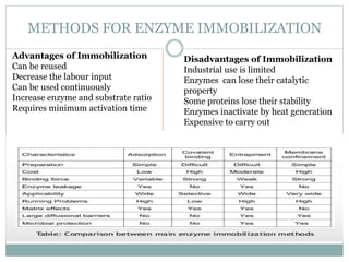 Immobilized Enzymes, Immobilization Techniques, Examples - Biochemical ...