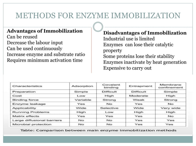 Immobilized Enzymes, Immobilization Techniques, Examples - Biochemical | PPTX