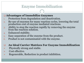 Immobilized Enzymes, Immobilization Techniques, Examples - Biochemical | PPTX