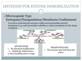 Immobilized Enzymes, Immobilization Techniques, Examples - Biochemical | PPTX