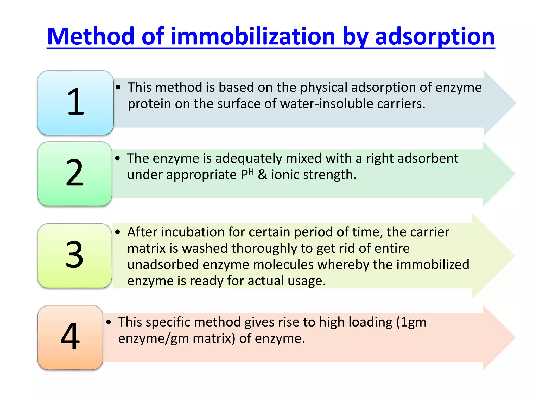 Enzyme immobilization | PPTX