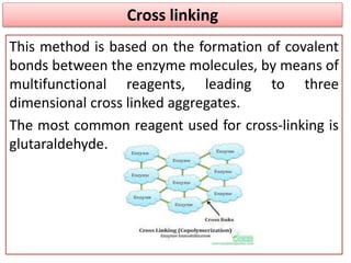 Enzyme immobilization | PPTX | Chemistry | Science