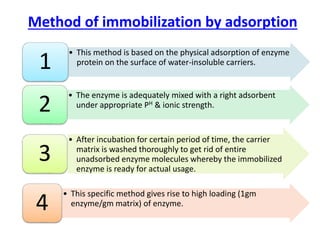 Enzyme immobilization | PPTX | Chemistry | Science