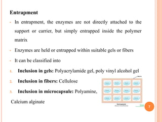 Enzyme immobilization | PPTX