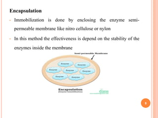 Enzyme immobilization | PPTX