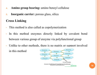 Enzyme immobilization | PPT