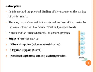 Enzyme immobilization | PPT