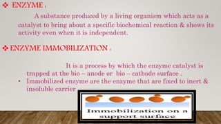 Enzyme Immobilization.ppt (T.Y. Bsc).pptx