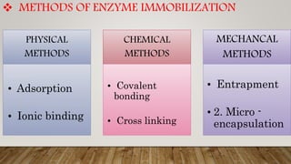 Enzyme Immobilization.ppt (T.Y. Bsc).pptx