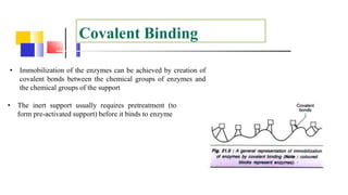 Enzyme Immobilization.pptx