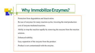 Enzyme Immobilization.pptx
