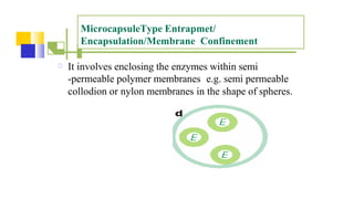 Enzyme Immobilization.pptx