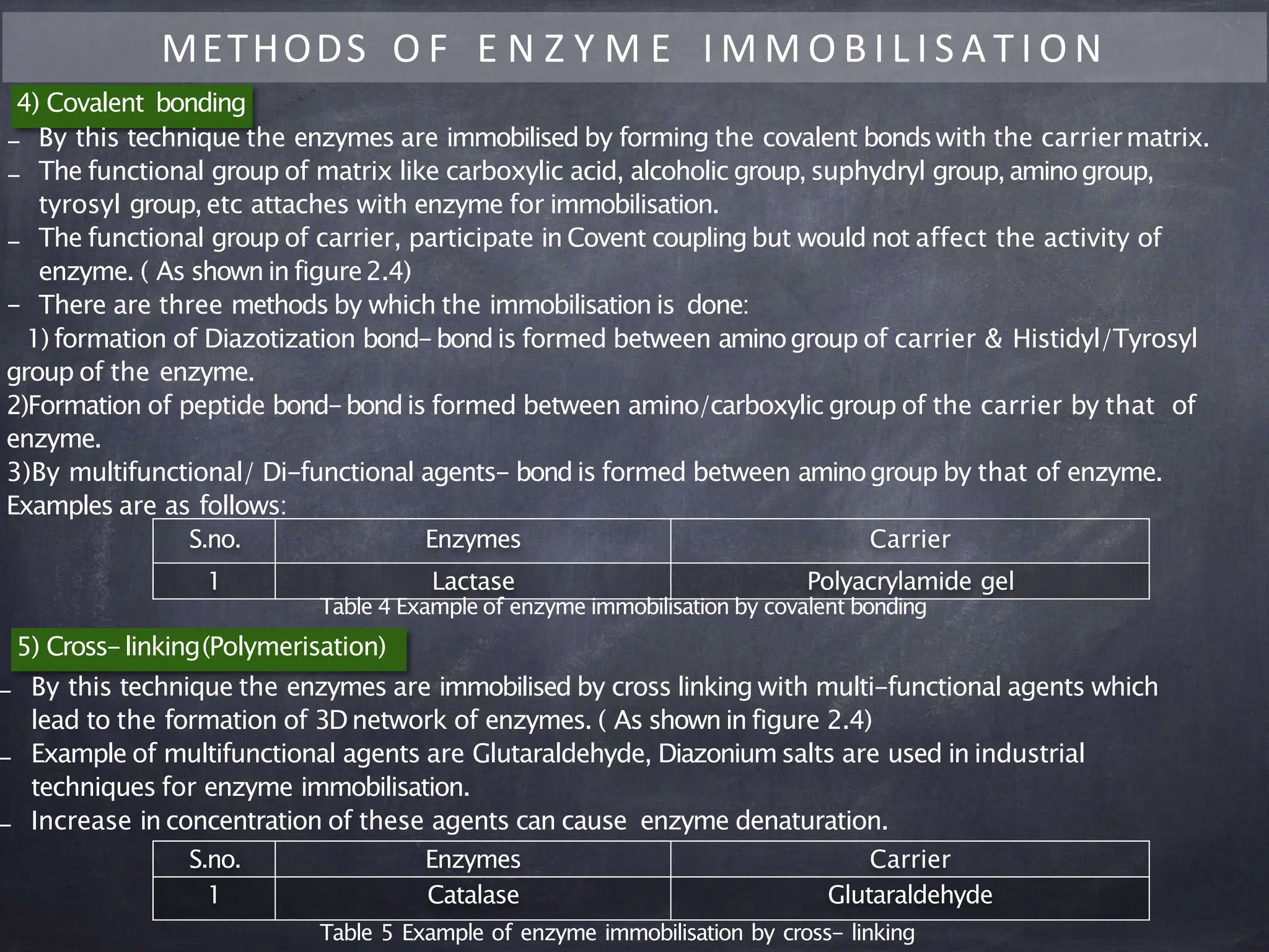 Enzyme Immobilization- Biotechnology- B.Pharm SEM 5 | PPTX
