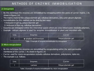 Enzyme Immobilization- Biotechnology- B.Pharm SEM 5 | PPTX
