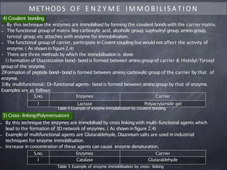 Enzyme Immobilization- Biotechnology- B.Pharm SEM 5 | PPTX