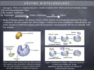 Enzyme Immobilization- Biotechnology- B.Pharm SEM 5 | PPTX