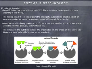 Enzyme Immobilization- Biotechnology- B.Pharm SEM 5 | PPTX