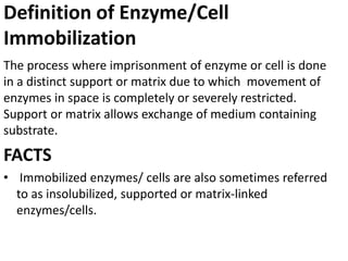 Enzyme_Immobilization.pptxmxn vnadnvadjsjcbx | PPT